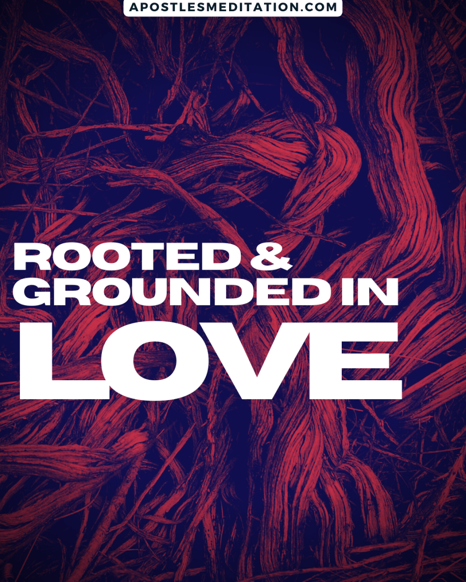 Rooted & Grounded in Love – Apostle's Daily Meditations